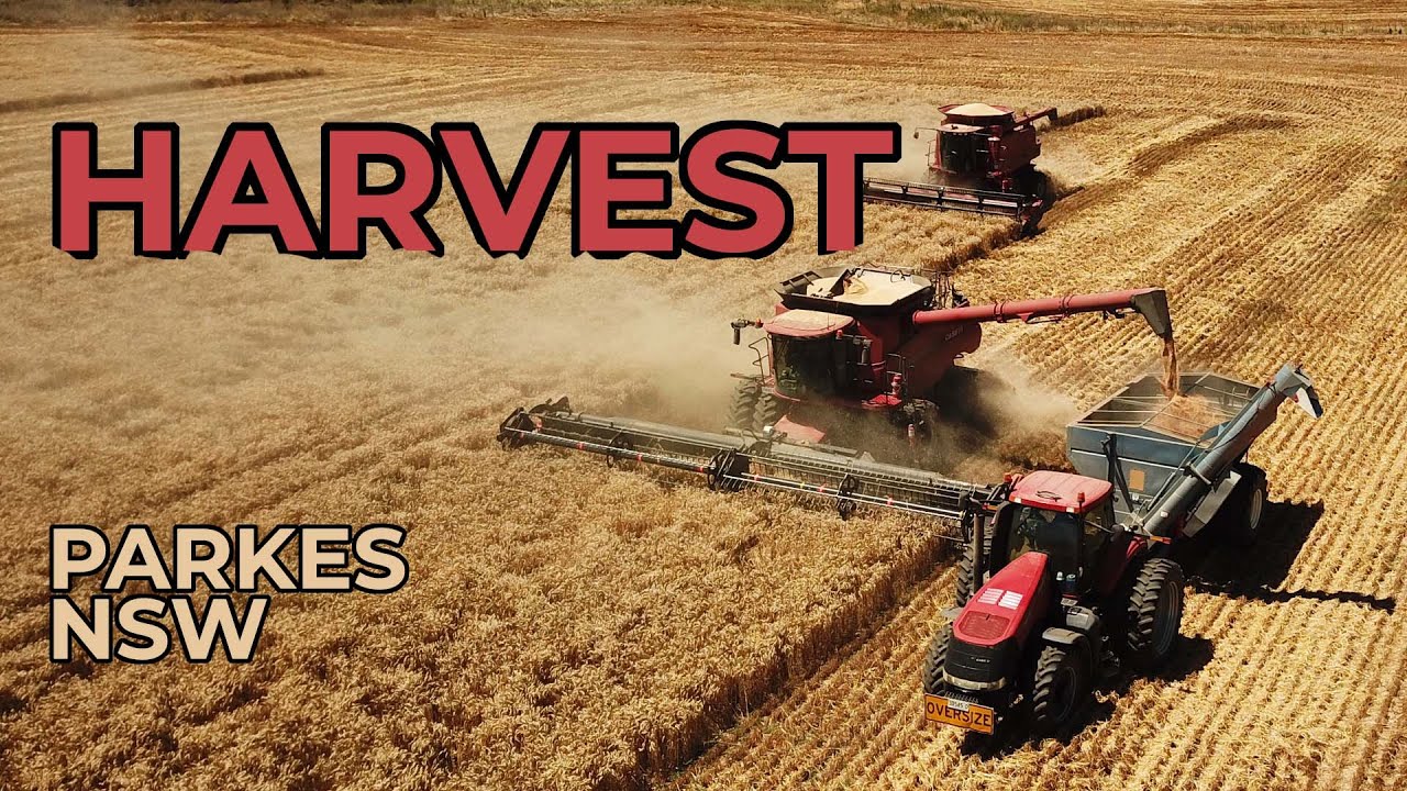 RECORD WHEAT BARLEY & CANOLA HARVEST AUSTRALIA | Huge yields, Case IH and chaser bin action ...