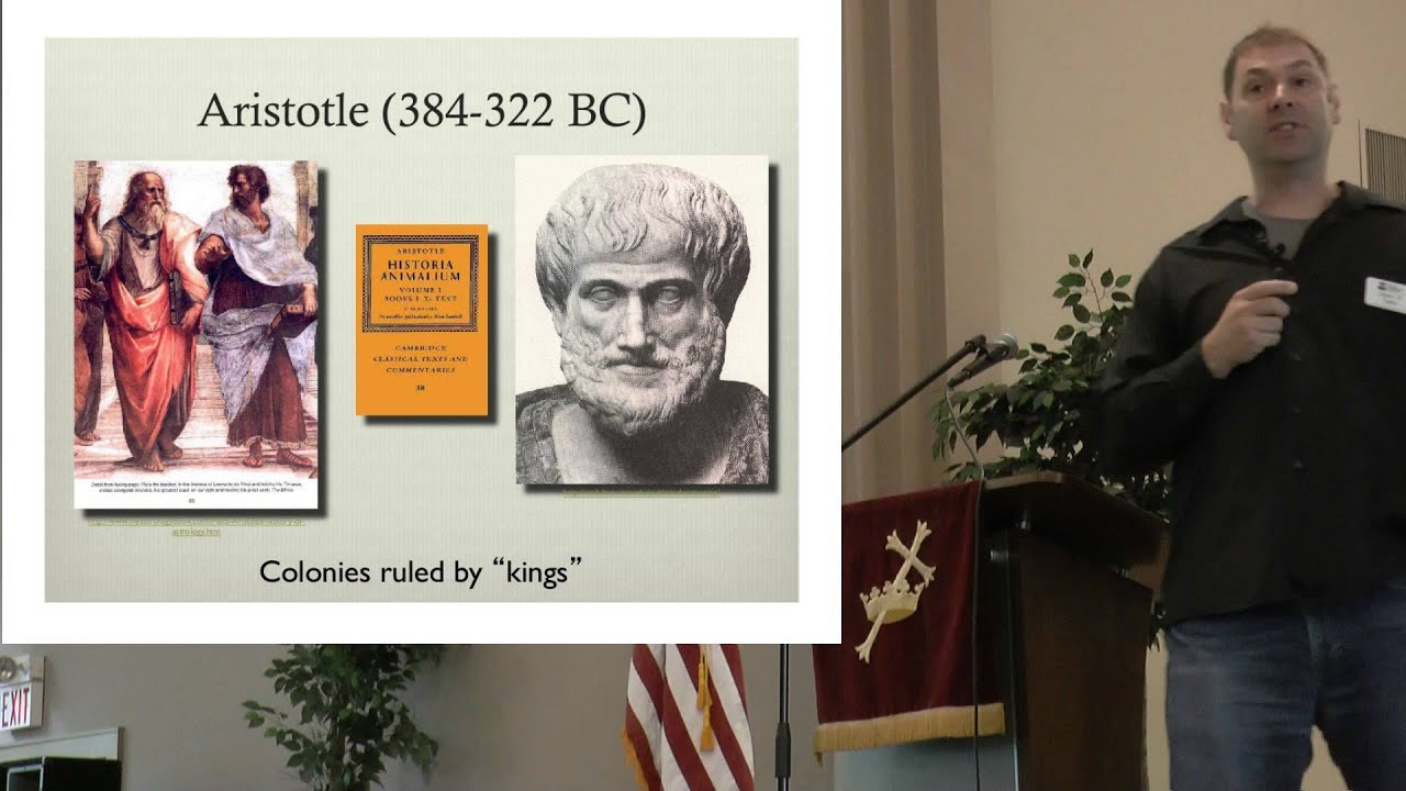 Dr. David Tarpy - Benefits of Genetic Diversity within Your Hives - YouTube