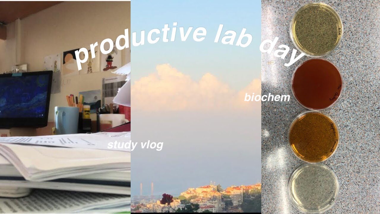 a day in life at uni | productive lab day - YouTube