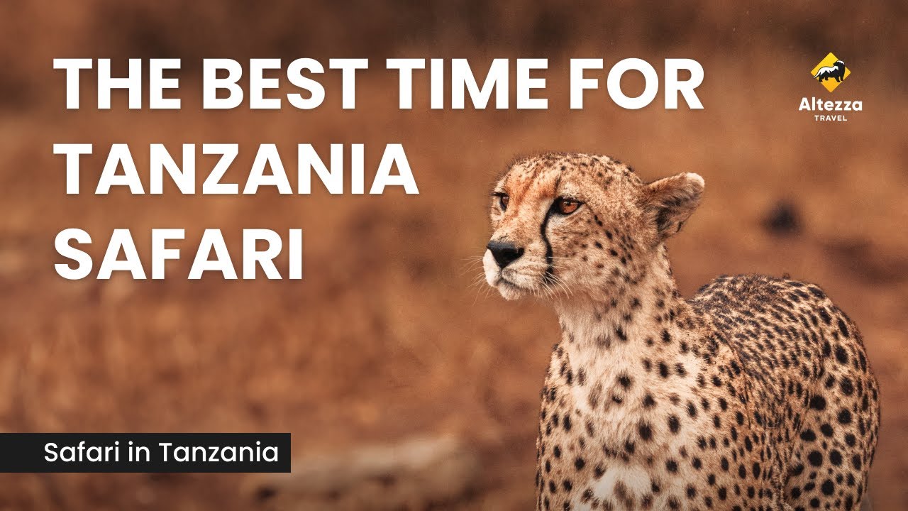 The Best Time for Tanzania Safari | Altezza Travel - YouTube