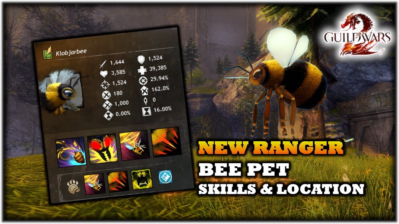 Ranger Bee Pet Skills & Location – Guild Wars 2 Quick Guide - YouTube