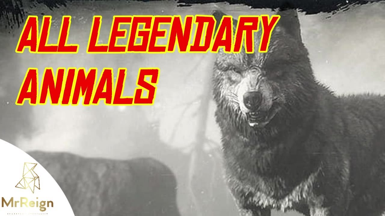 RED DEAD REDEMPTION 2023 - All Legendary Animal Locations - Master ...
