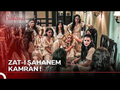 Kamran'la Kavuşman İçin Duacıyız Feride | Çalıkuşu 1. Bölüm