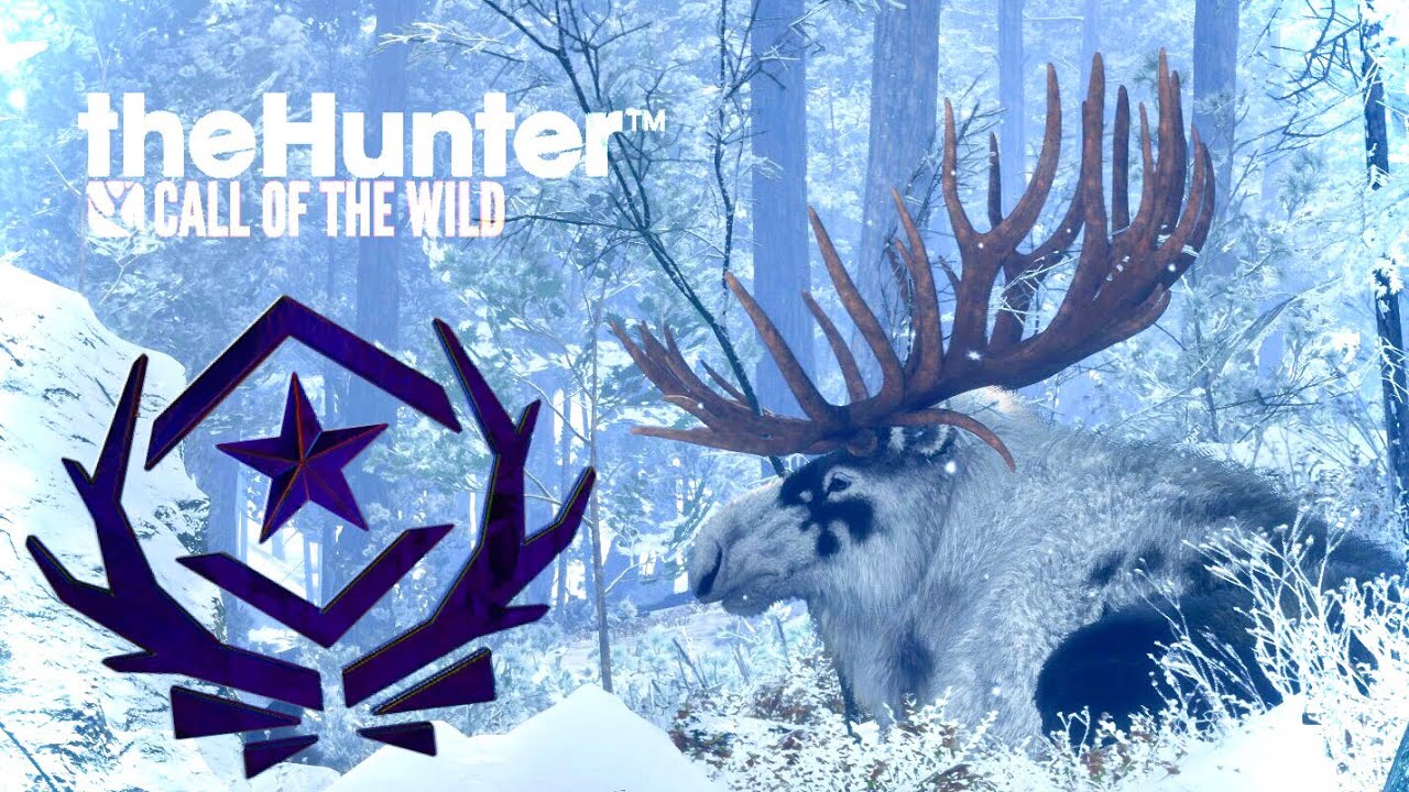 HUNTING AND TRACKING A STUNNING FABLED TWO TONE GREAT ONE MOOSE ON ...