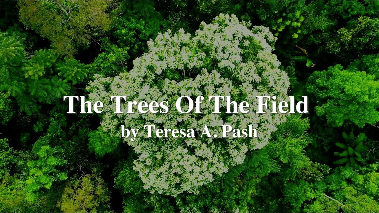 The Trees Of The Field (Sing-along) by Teresa A. Pash Chords - Chordify