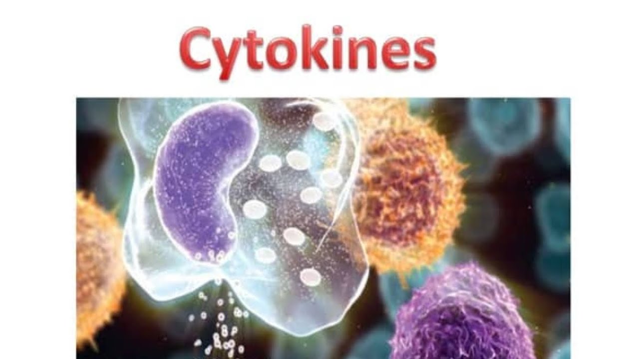 Cytokines and their role in immune response easy Explanation with Notes ...