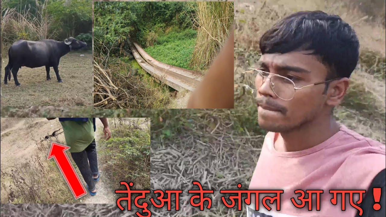 Tanduaaa Ki Territory Mai a Gye ! | Bryan Swain Vlogs - YouTube