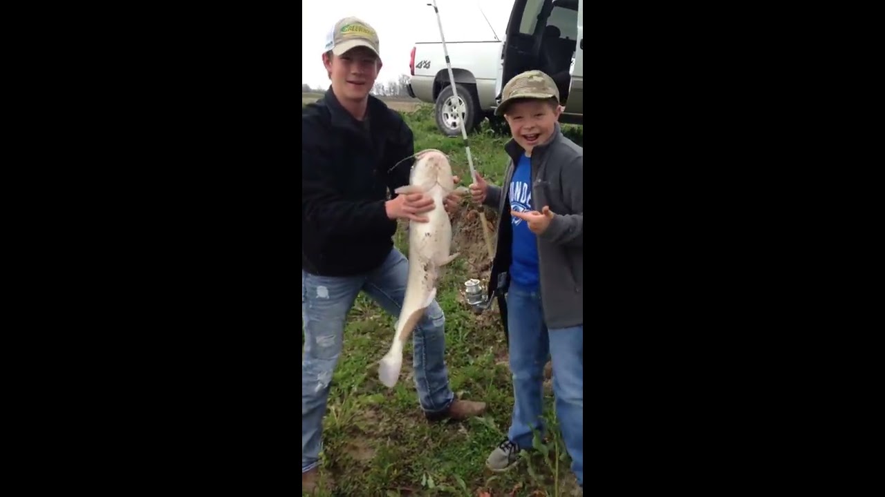 20 pound catfish cat in pond - YouTube