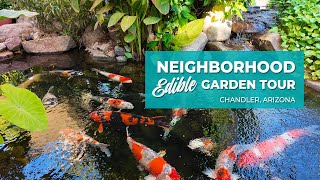 Harmony Gardens Urban Farm in Chandler, Arizona - PART 2 - Neighborhood Edible Garden Tour Series