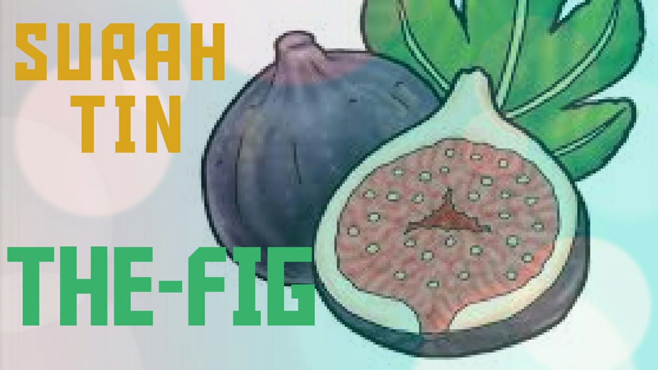 Beautiful recitation of SURAH AT-TIN - YouTube