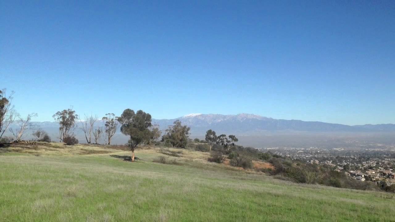 Eucalyptus Ridge, SKYLINE DRIVE corona California - YouTube