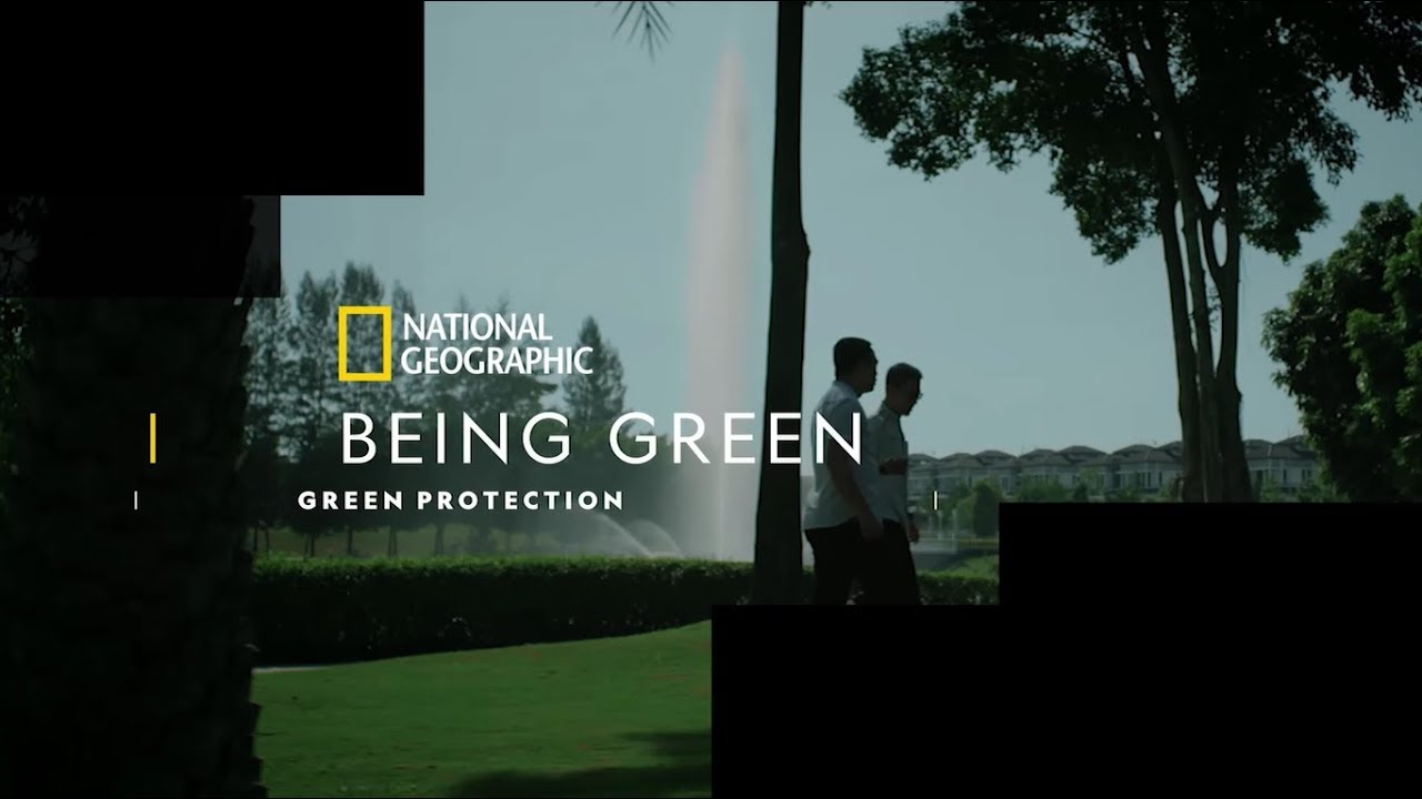 Green Protection - YouTube