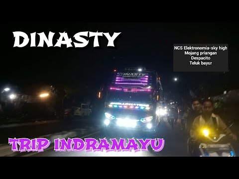 BASURI BUS DINASTY ENAK BANGET....🕺🔥 - YouTube