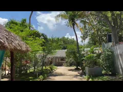 Guesthouse Villa Rosa Punta Rucia - YouTube