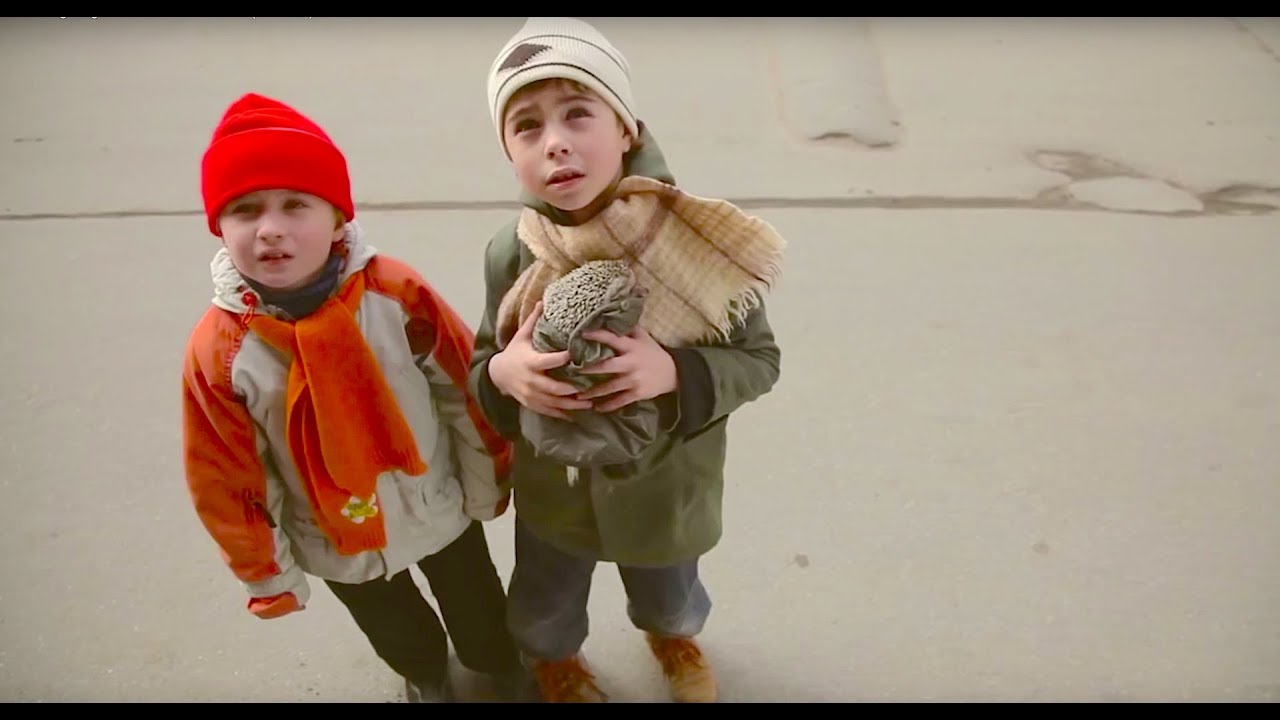 Best Short Film from Russia | The Hedgehog | English Subtitles - YouTube