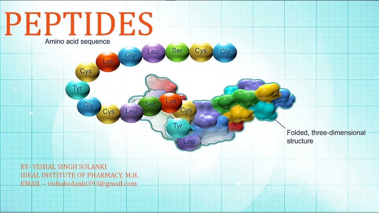 PEPTIDES (POLYMER) PART - 2 - YouTube