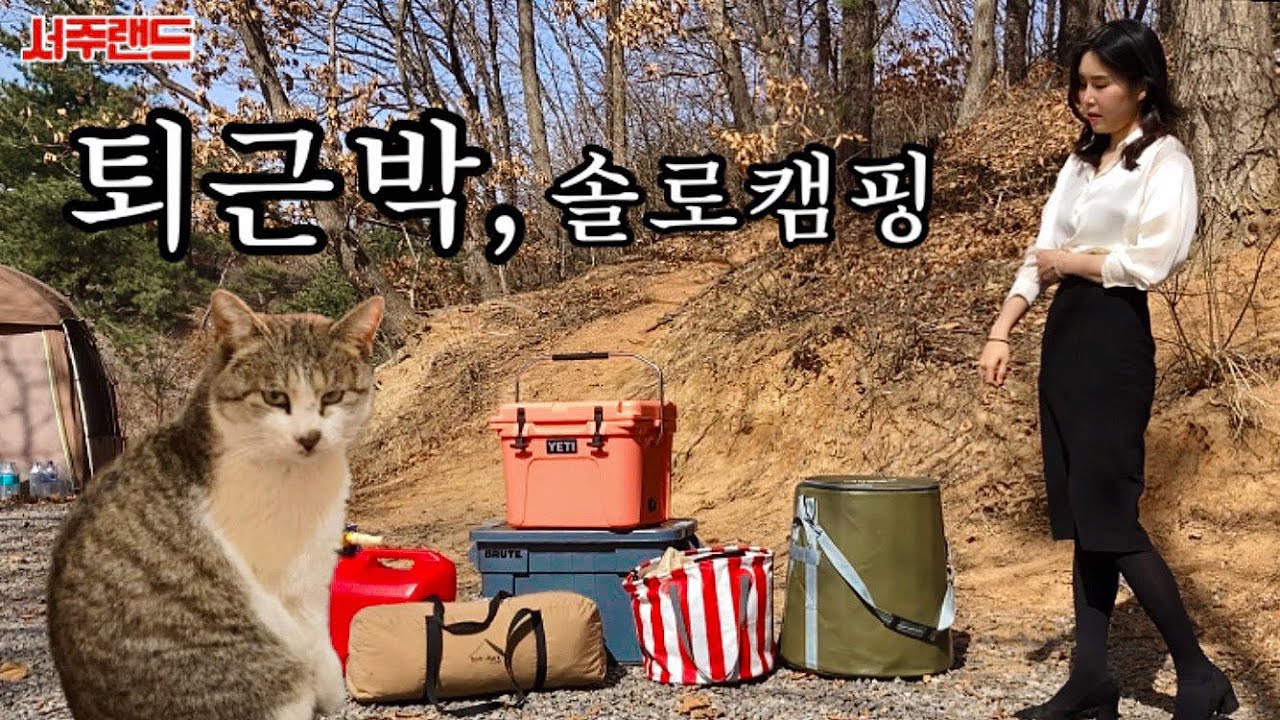 솔로캠핑 퇴근박 I 고양이습격사건 I 혼자만 있는 캠핑장에서 힐링캠핑 I 노을 바라보며 육회에 맥주 I Solo