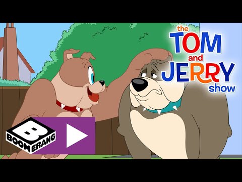 The Tom and Jerry Show | New Dog | Boomerang UK 🇬🇧