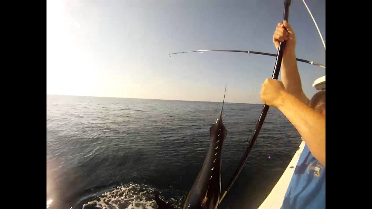 Tuna Fishing On The Mr. Grumpy Gills With Capt. Mike McEvoy - YouTube