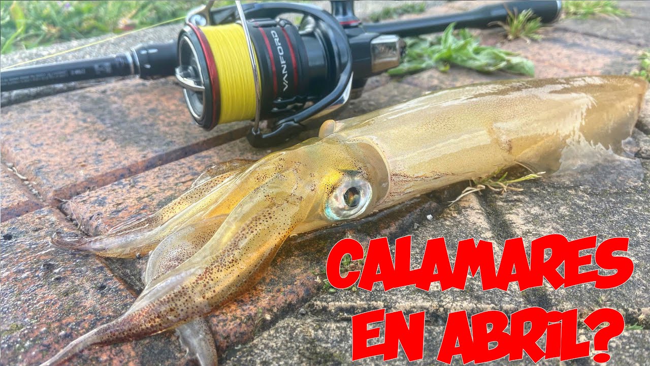 Pescando CALAMARES en Abril! - YouTube