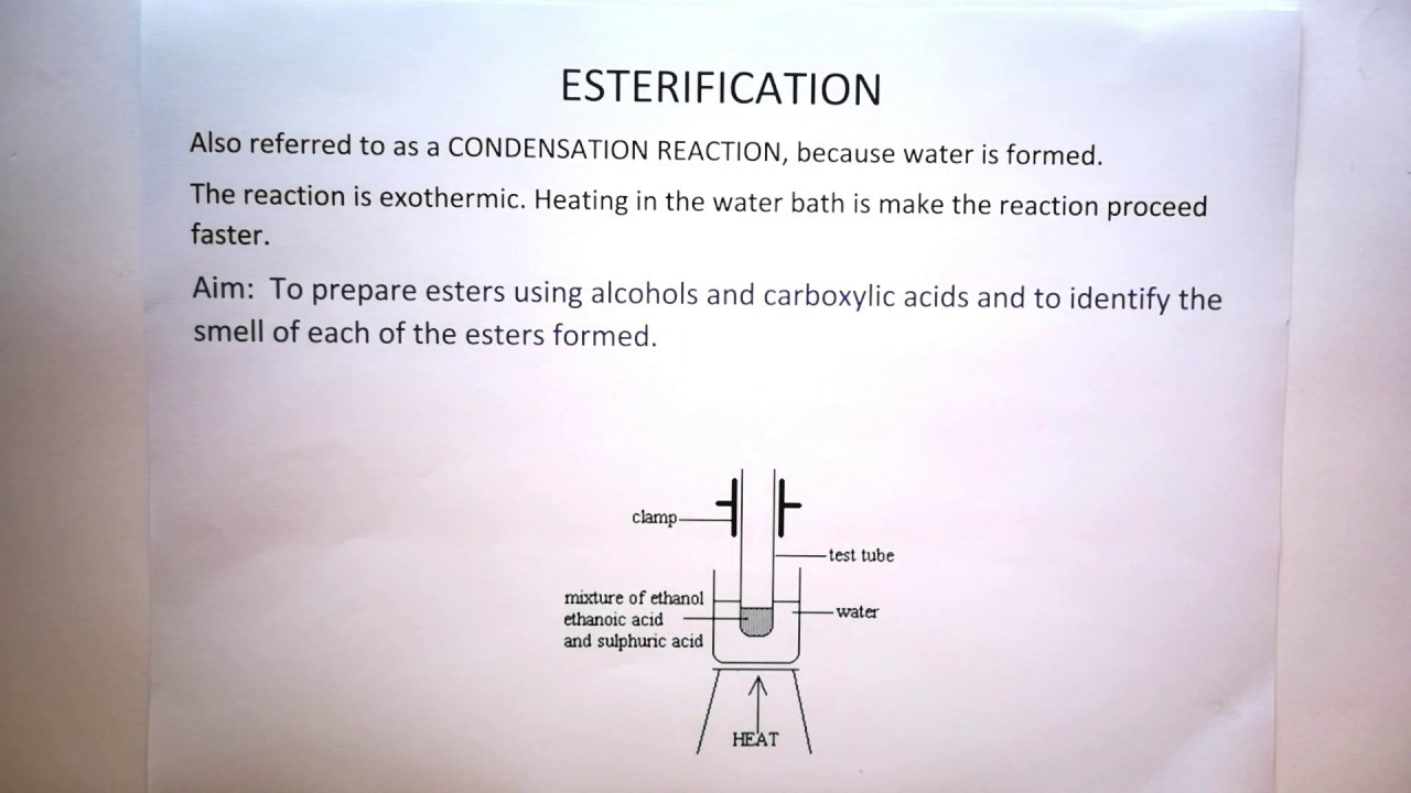 Esterification Theory For Practical Gr 12 YouTube esterification-theory-for-practical-gr-12-youtube
