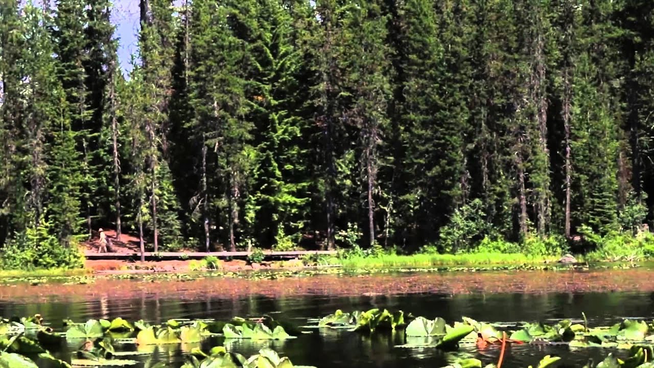 Exploring Lakes in Clackamas County - YouTube