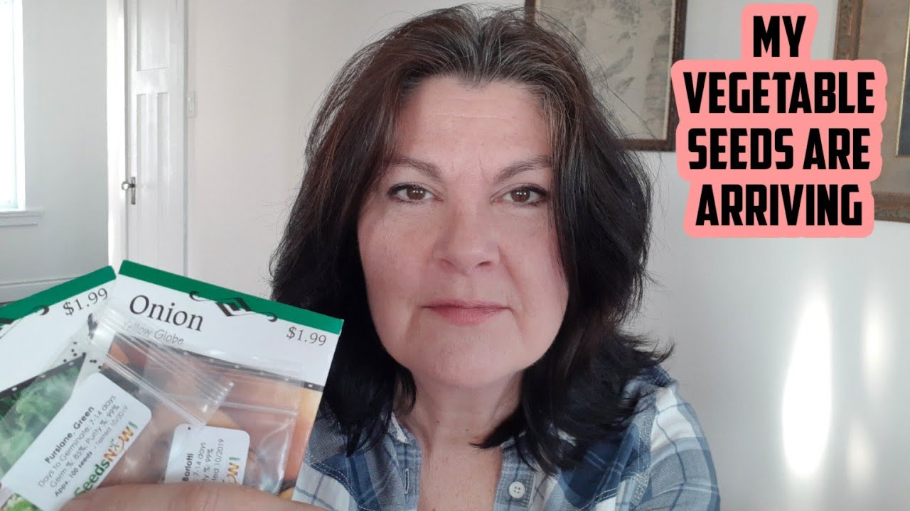 Vegetable seeds: Chat about my seeds that arrived - YouTube
