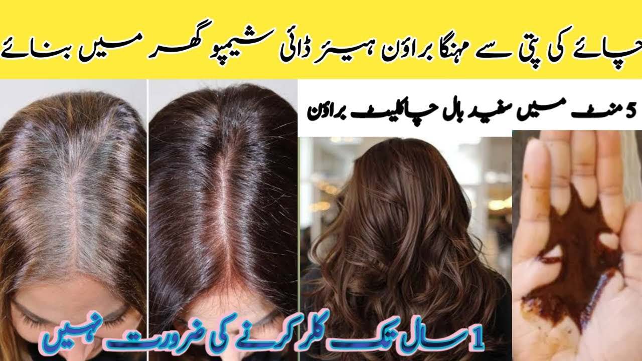 Dark Brown Hair Color Chocolate Brown Color At Home Grey Coverage Hair 100% Result Dark Brown ...