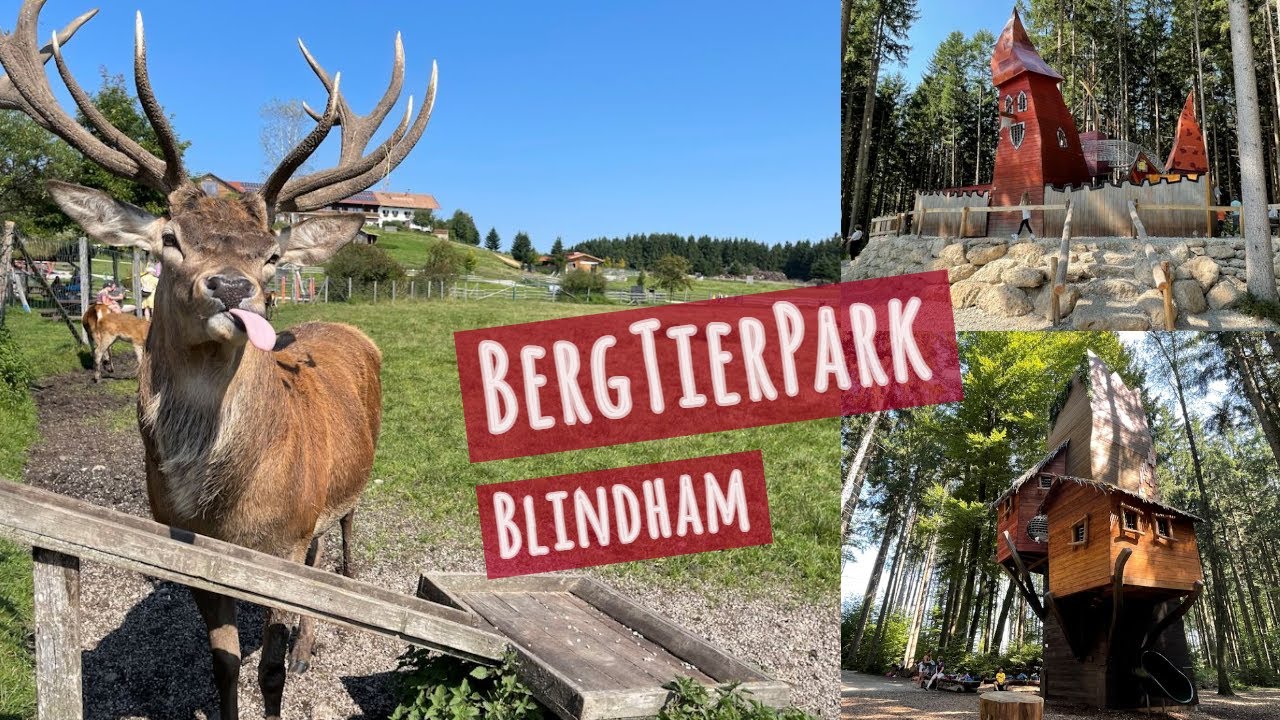 BergTierPark Blindham | Aying - YouTube