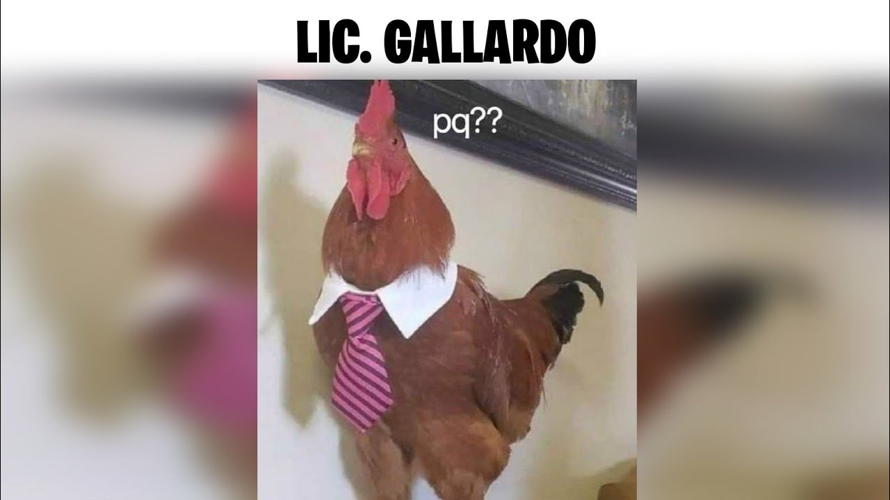 MEMES RANDOM #4 - YouTube