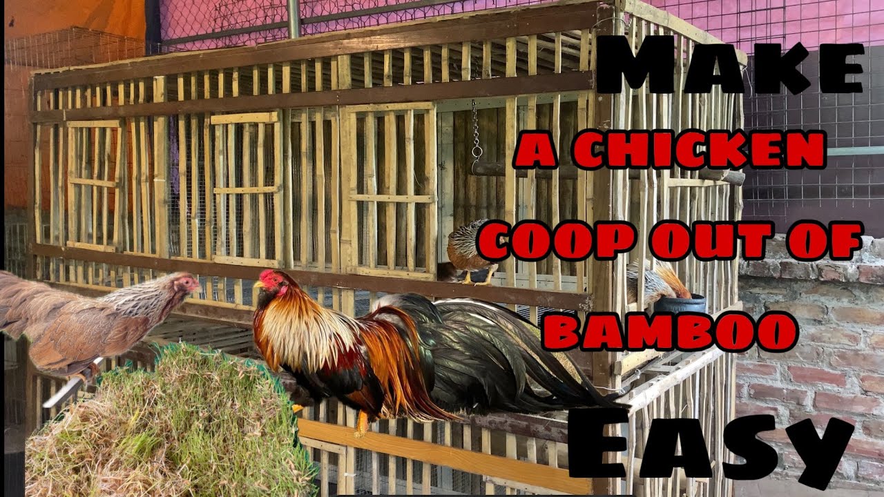 How to make a bamboo chicken coop is easy - YouTube