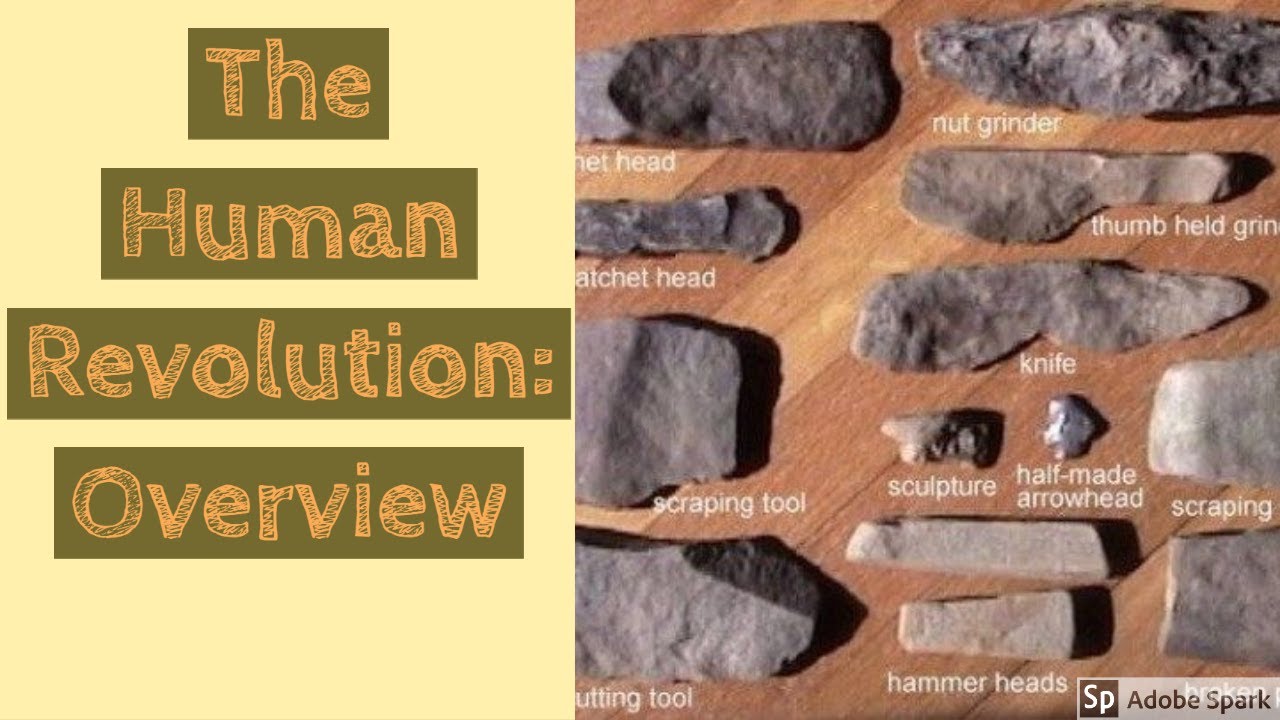 The Human Revolution: Overview - YouTube