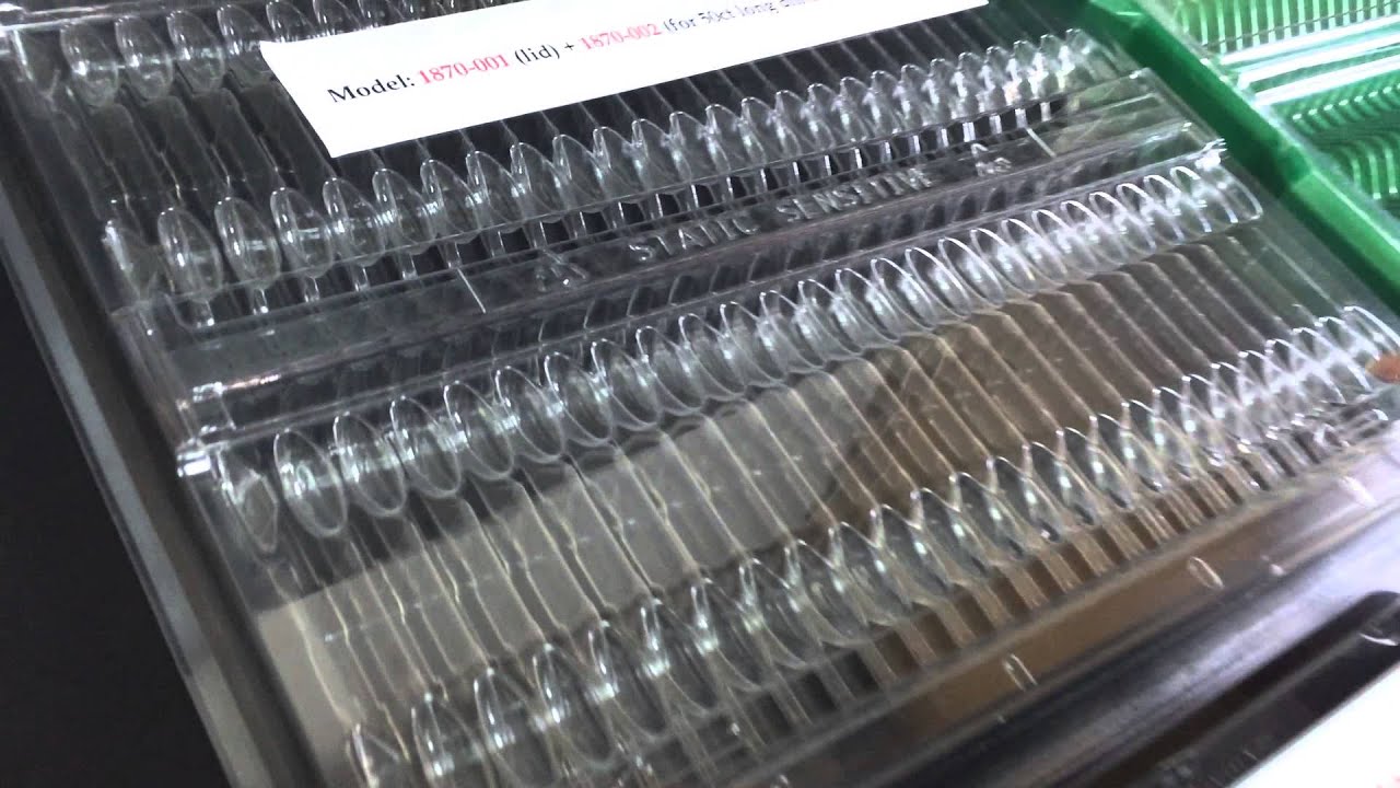 ESD packaging clamshell plastic box ddr memory ram (www.memorypack.com ...