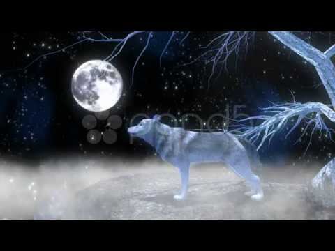 The wolf howling at the moon animation - YouTube