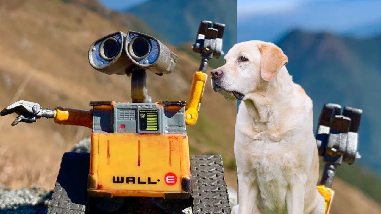 animals with their voices, voice understanding cute animals sounds ...