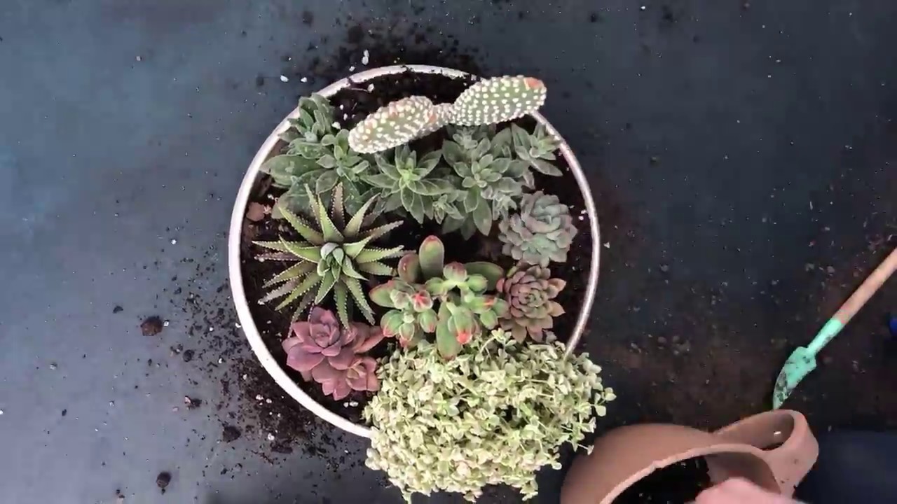 Qué es el sustrato? - YouTube