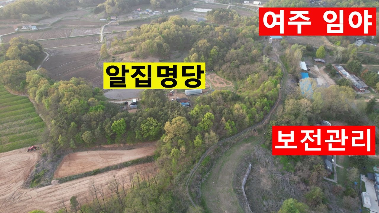 1억 시세27억 알집명당 여주임야 보전관리 건축가 100개발가능 완만한 싼임야 자연인전원생활6차산업숲야영장 숲가치35억원 탄소권311만원 땅과함께새희망을경매임야