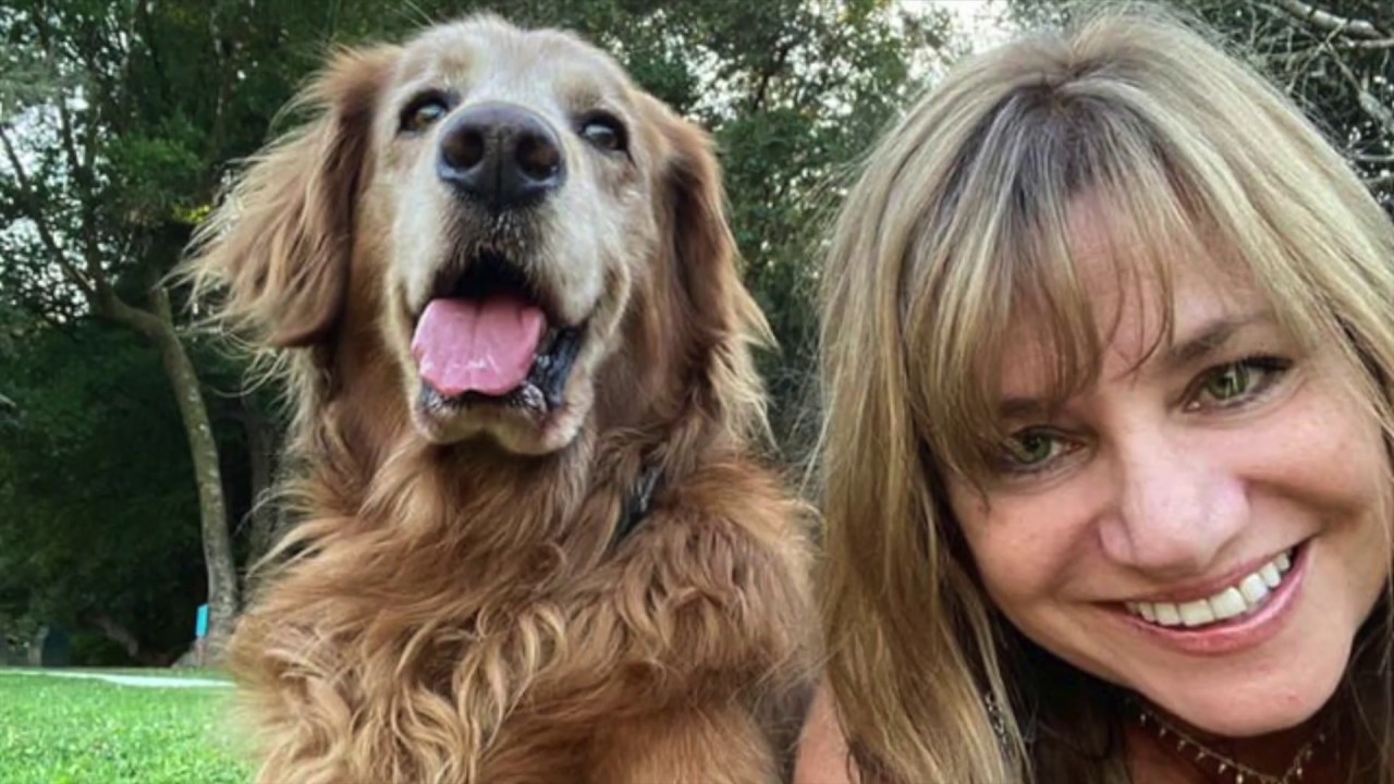 Randy Serrano presents ~ Van Halen - Right Now - YouTube