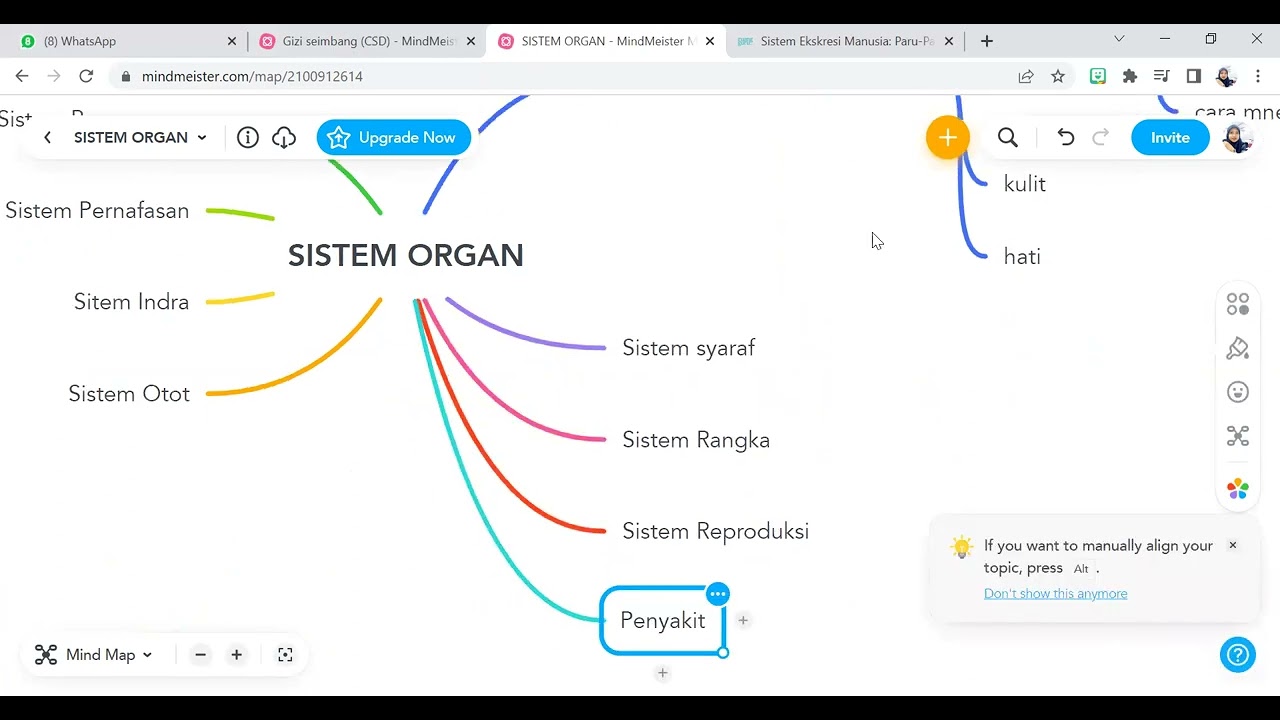 how to make mindmap sistem organ - YouTube