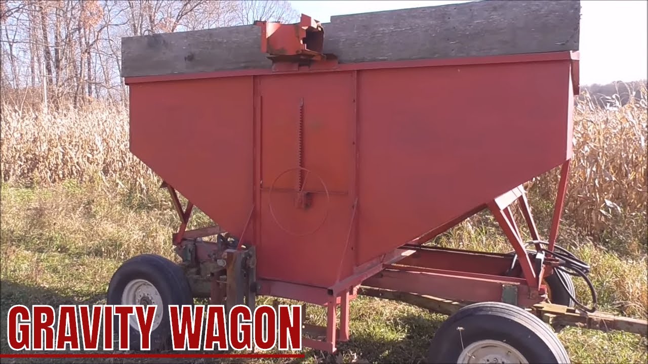 DAY BEFORE HARVEST CORN UPDATE AND GRAVITY WAGON - YouTube