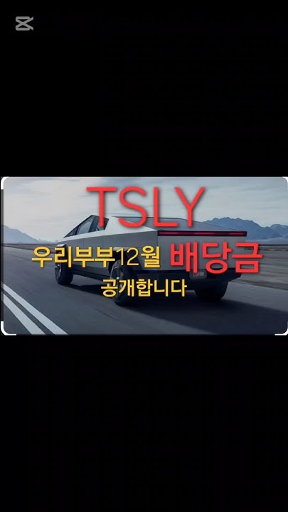 TSLY 12월 우리부부 배당금 내역 - YouTube