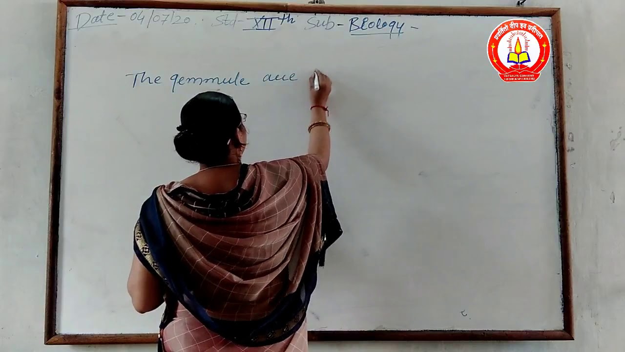 12th Biology Plasmotomy and budding - YouTube