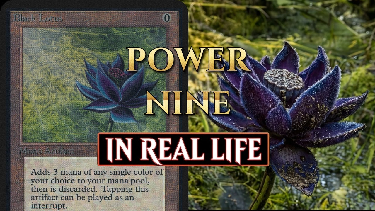 The Power Nine: Magic's Holy Grail Visualized (4K Cinematic) - YouTube