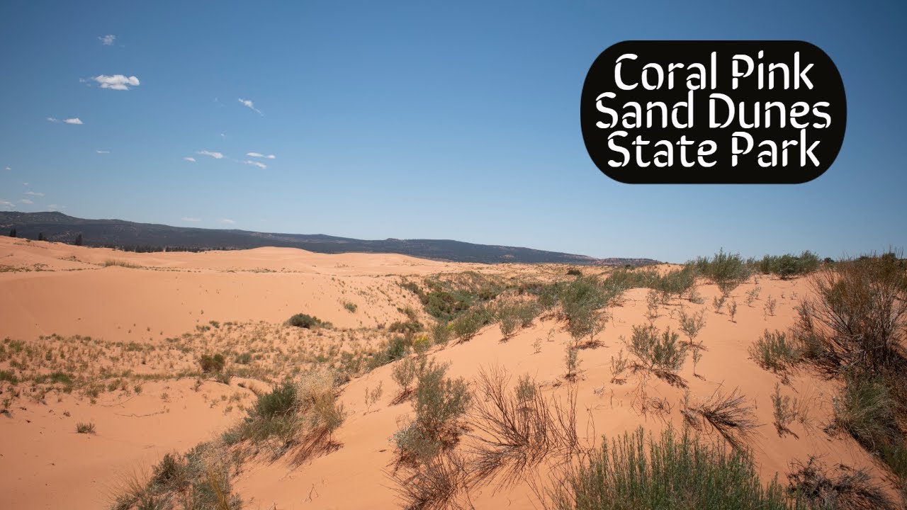 Coral Pink Sand Dunes State Park - Really Strong Wind and Lot's of Sand ...