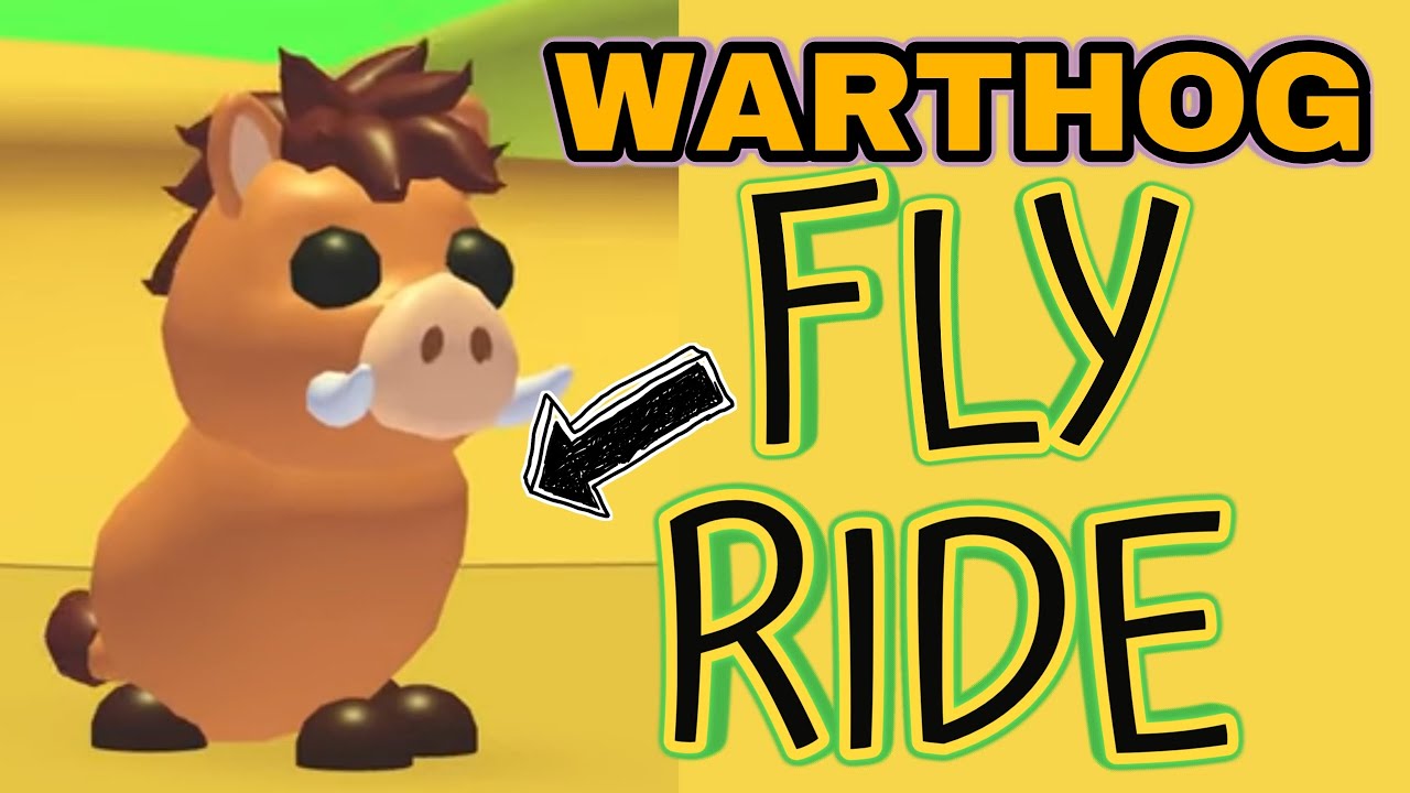 Making Warthog Fly Ride in Adopt Me! #safarizone - YouTube