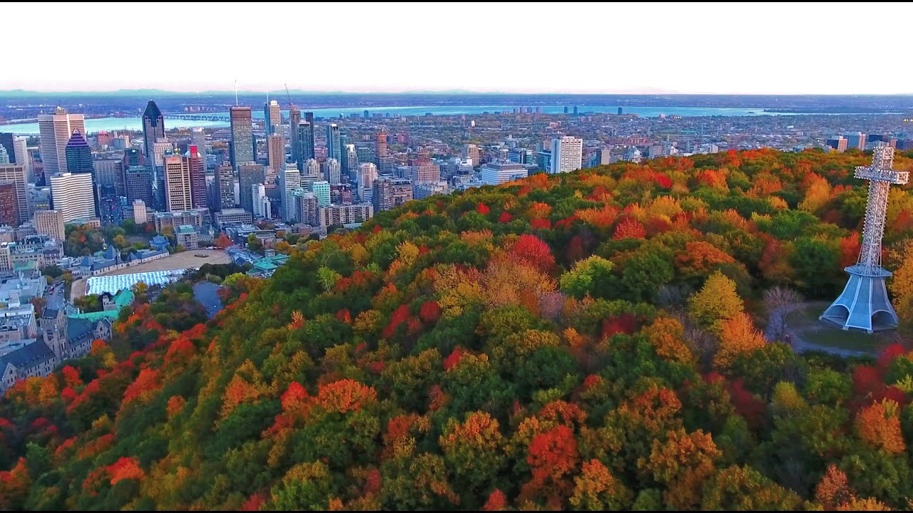 [YouDrone] Le Mont-Royal s'habille aux couleurs d'automne I Drone DJI I ...