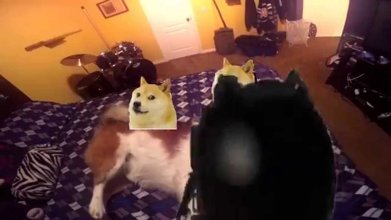 INSANE DOGE MULTIKILL!!!! - YouTube