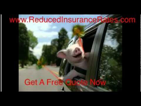 New Geico Commercial-Piggy - YouTube