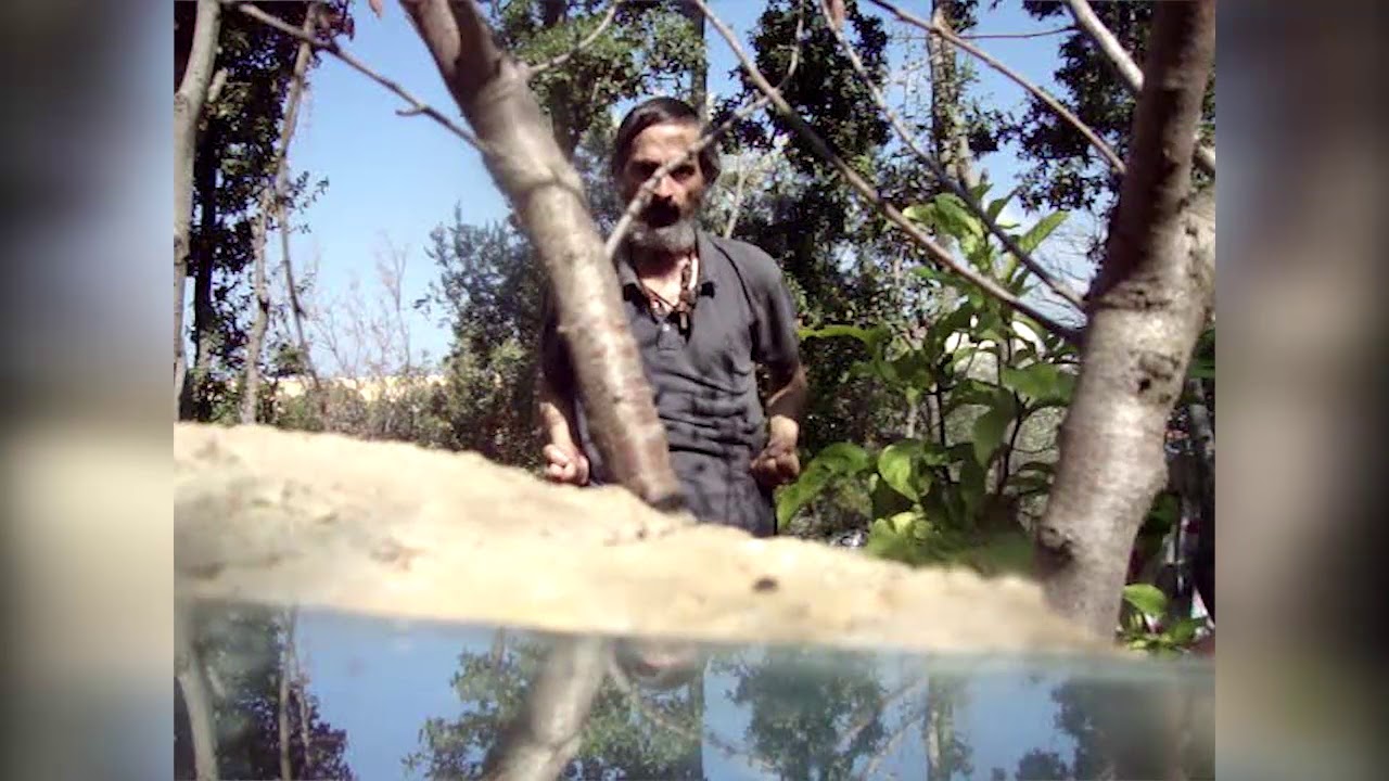 Magic Yoga Great by Joseph Merheb - YouTube