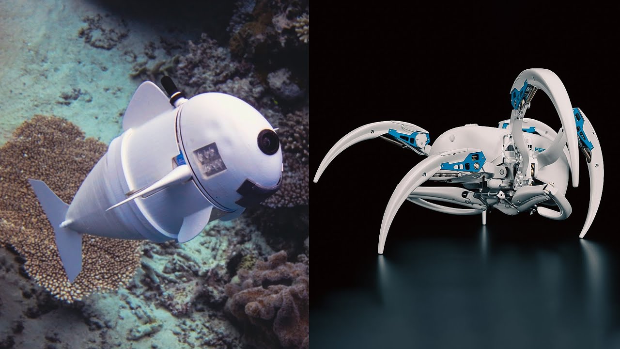 AMAZING ROBOTIC ANIMALS YOU MUST SEE - YouTube